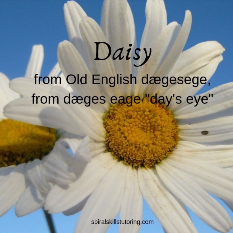 A Rose by any other Name – Spiral Skills Tutoring and Academic Coaching