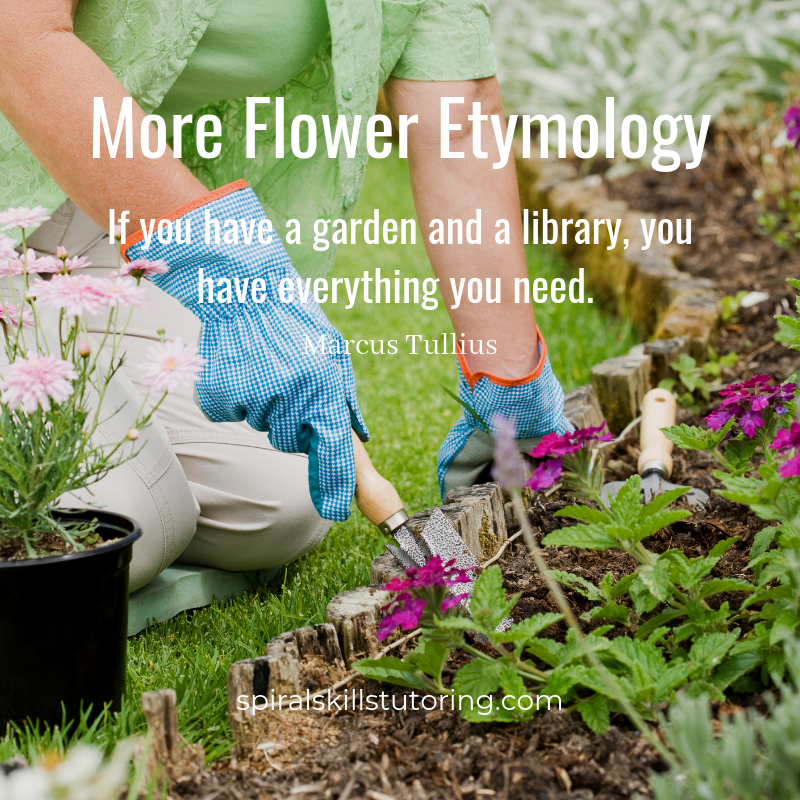 If you have a Garden and a Library, you have Everything you Need ...